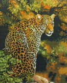 Леопард GZ007 (7713017). Алмазная мозаика, стразы > Cristal > Животные.